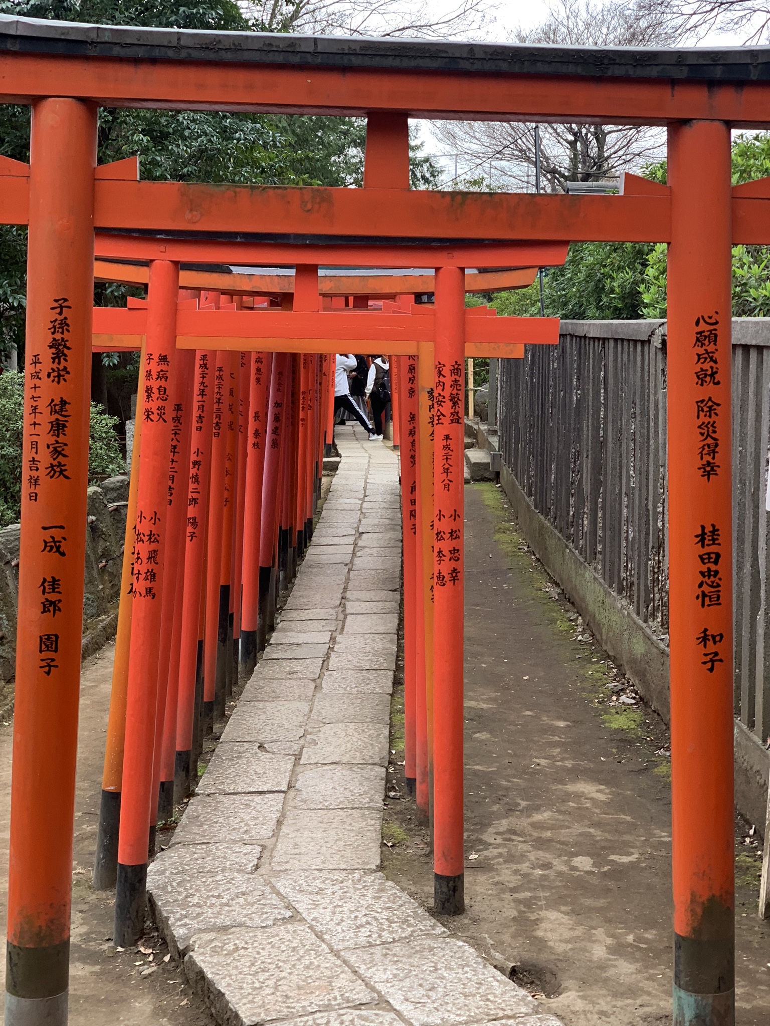 Nezu Shrine – The Bald Traveler